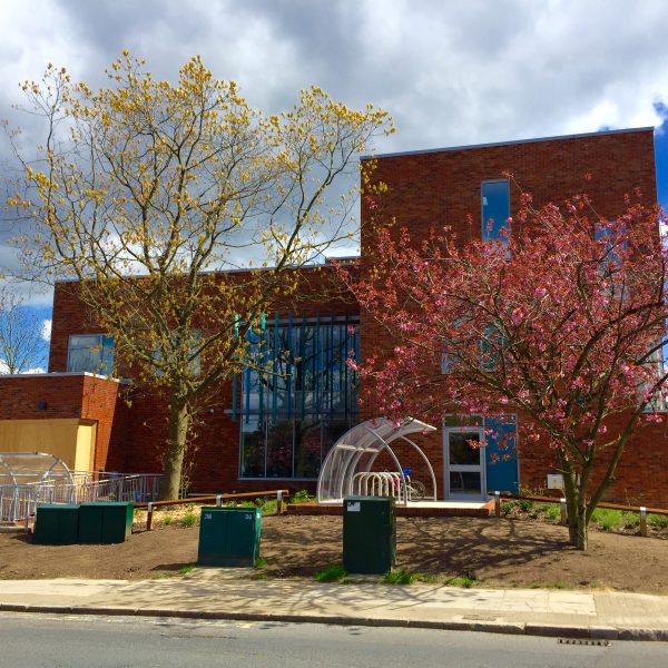 Willow Tree Surgery – Jameson Consulting